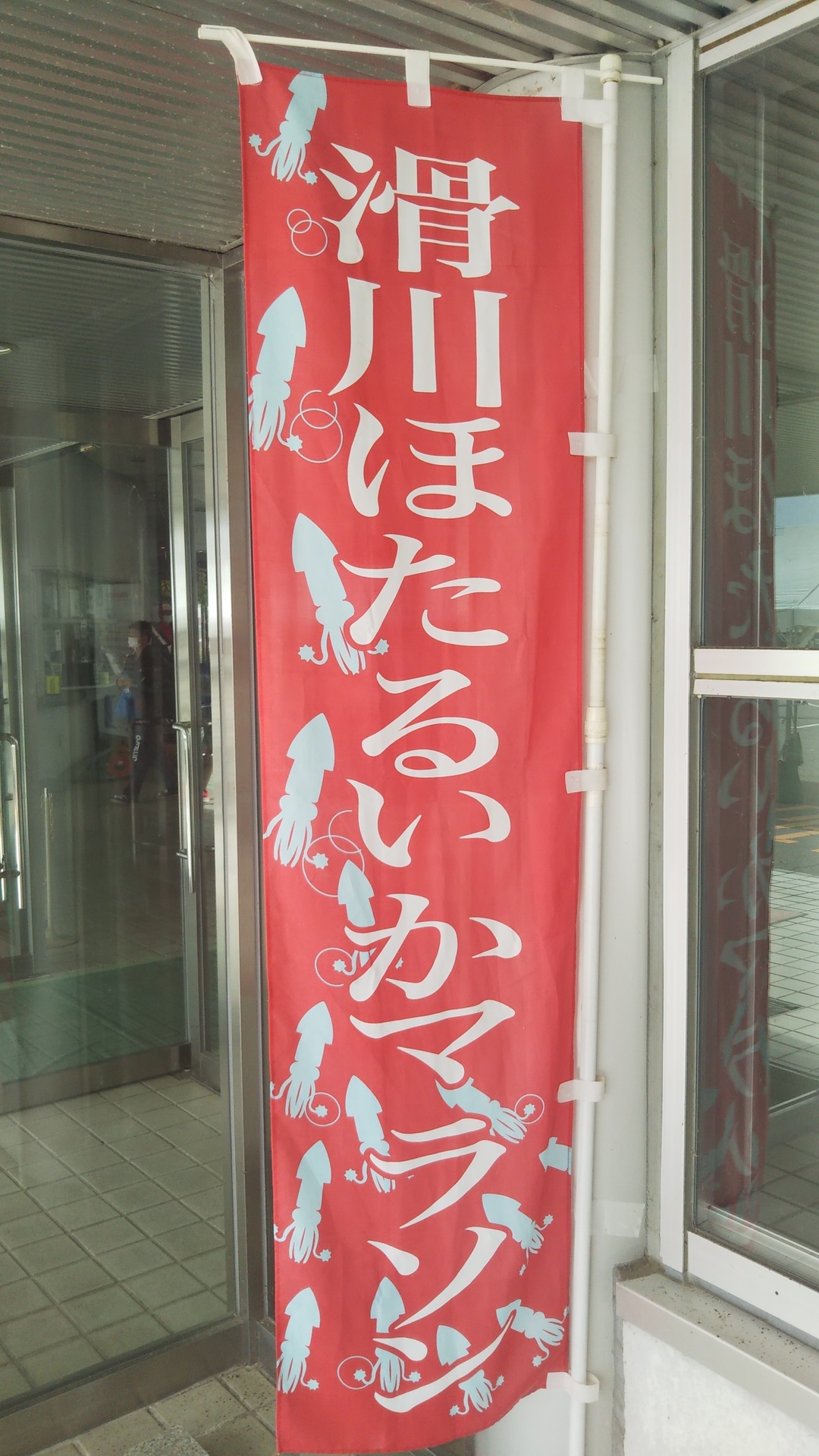 ほたるいかマラソン2022の結果: サラリーマン サブフォー練習日記